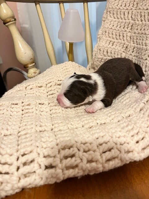 Home - HOFFMAN FOREST ACRES LLC